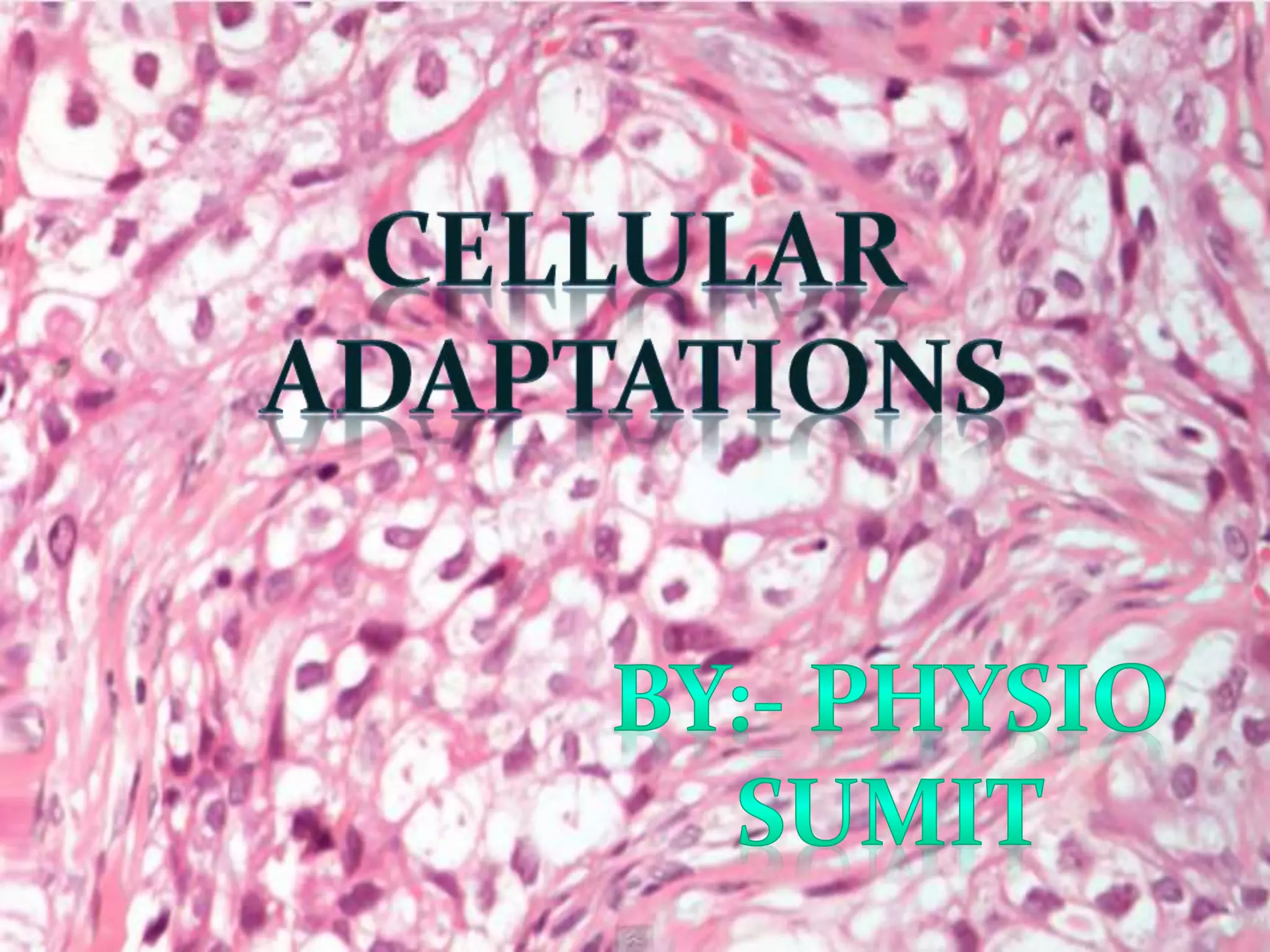 Cellular or Cell adaptation !! pathology - Harsh mohan !! cell injury ...
