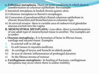Cellular or Cell adaptation !! pathology - Harsh mohan !! cell injury ...