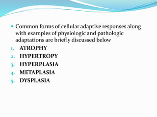 Cellular or Cell adaptation !! pathology - Harsh mohan !! cell injury ...