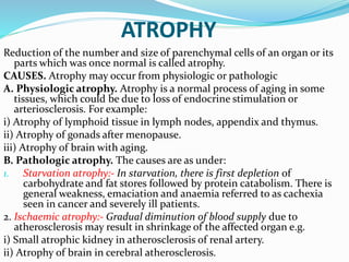 Cellular or Cell adaptation !! pathology - Harsh mohan !! cell injury ...