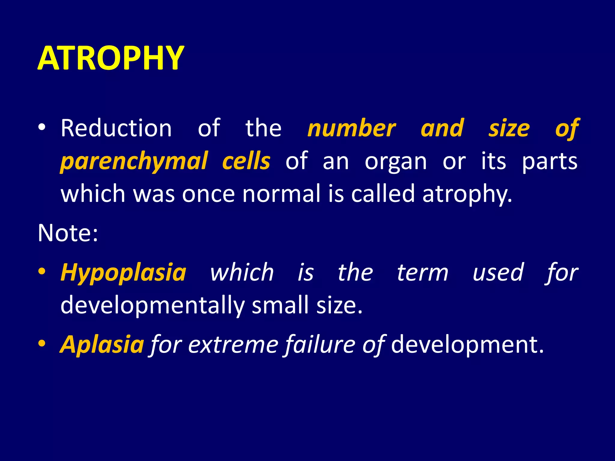 Cell adaptations | PPTX