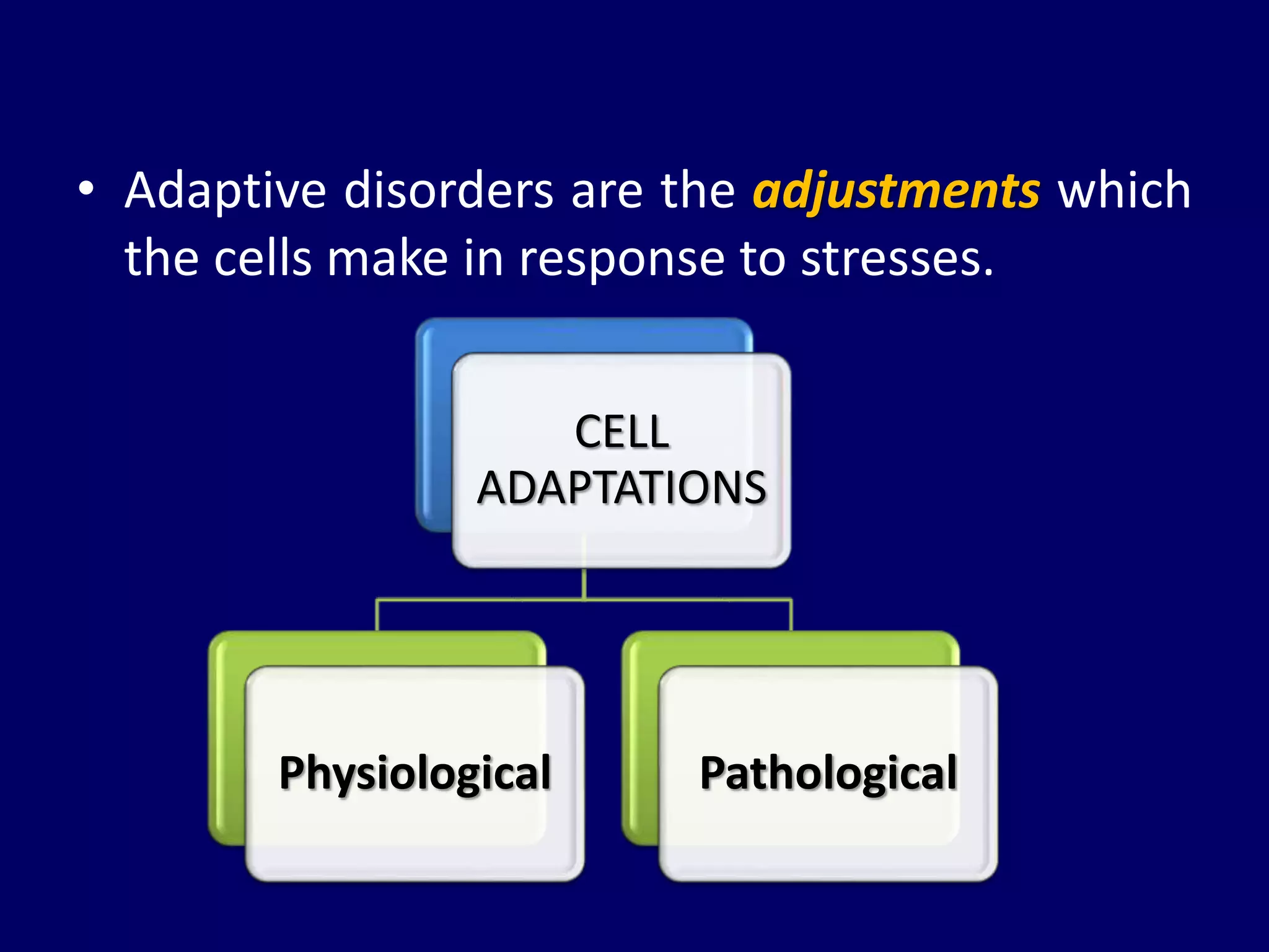 Cell adaptations | PPTX