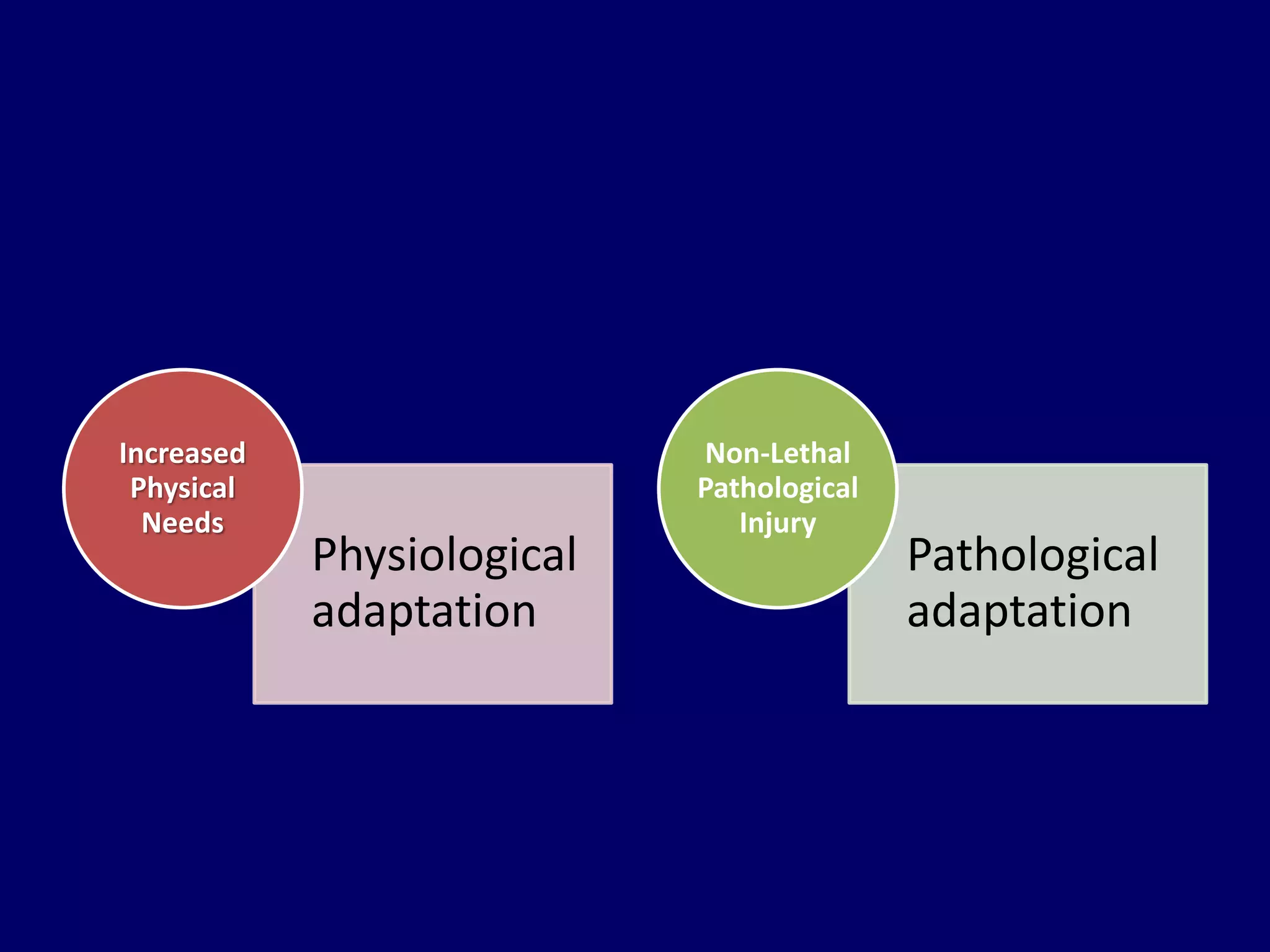 Cell adaptations | PPTX