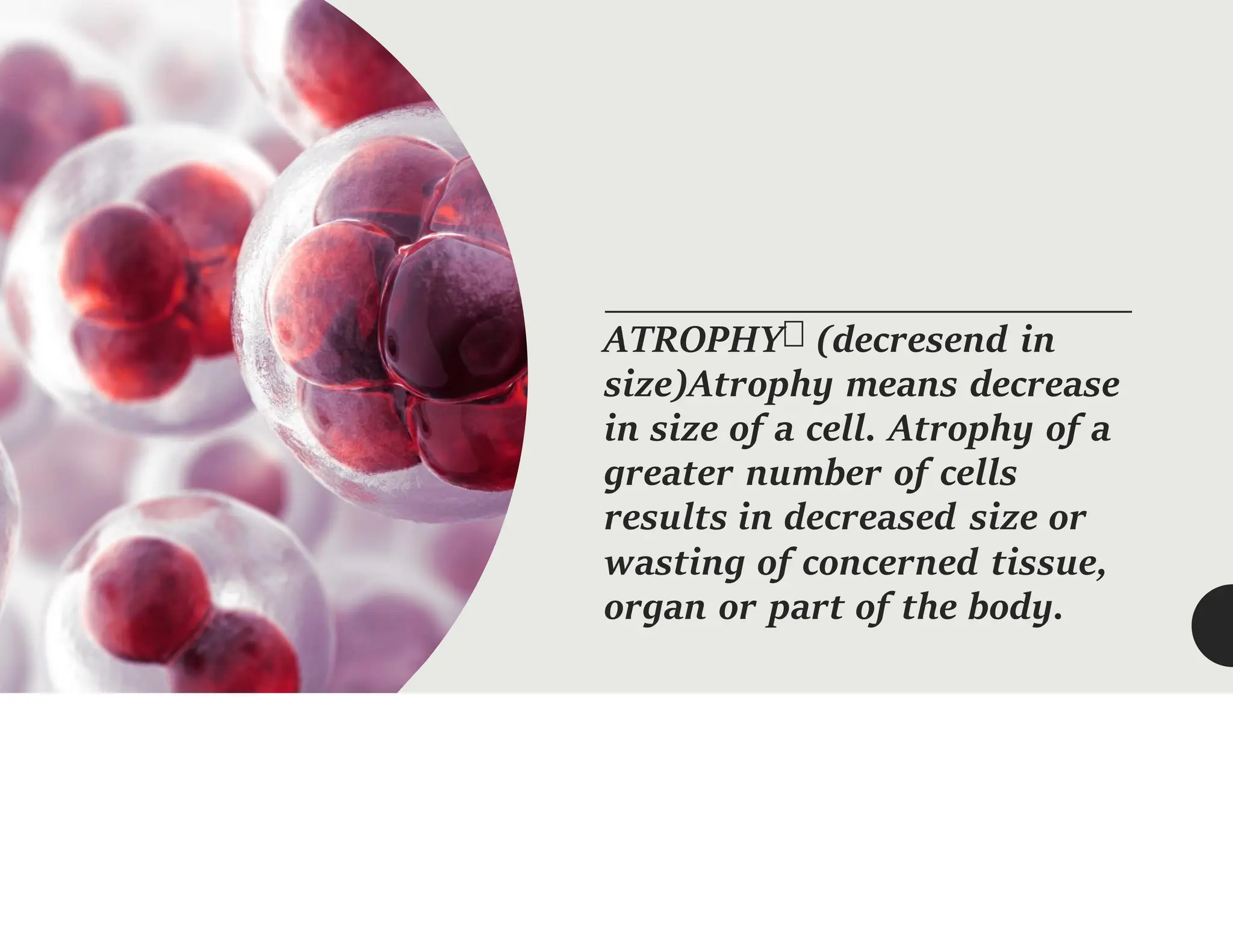 Cell Adaptation, physiology and pathology....pdf