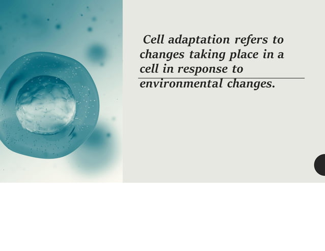 Cell Adaptation, physiology and pathology....pdf