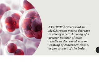 Cell Adaptation, physiology and pathology....pdf