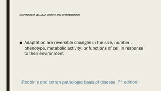 Cell adaptation.....................pptx