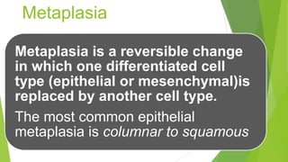 Cell adaptation 31dec 2019 lect 3 | PPT
