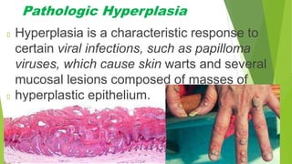 Cell adaptation 31dec 2019 lect 3 | PPT | Free Download