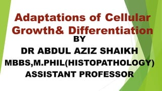 Cellular adaptation | PPT