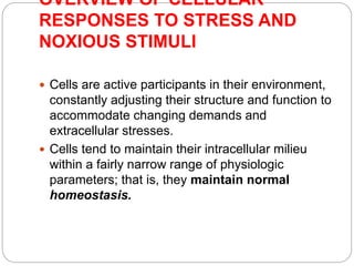cell adaptation and cell injury - Copy-4 copy.pptx