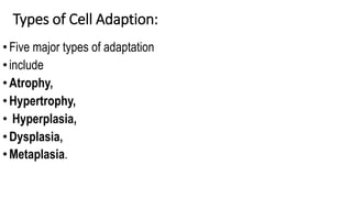 Cell Adaptation, educational Platform.pptx