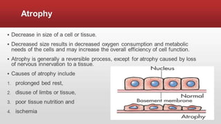 Cell Adaptation, educational Platform.pptx