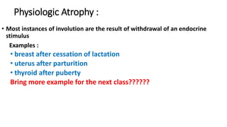 Cell Adaptation, educational Platform.pptx