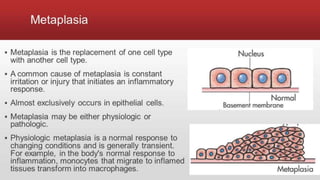 Cell Adaptation, educational Platform.pptx