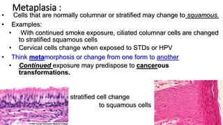 Cell Adaptation, educational Platform.pptx