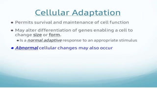 Cell Adaptation, educational Platform.pptx