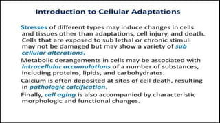 Cell Adaptation, educational Platform.pptx