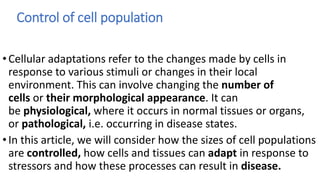 Cell Adaptation, educational Platform.pptx