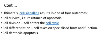 Cell Adaptation, educational Platform.pptx