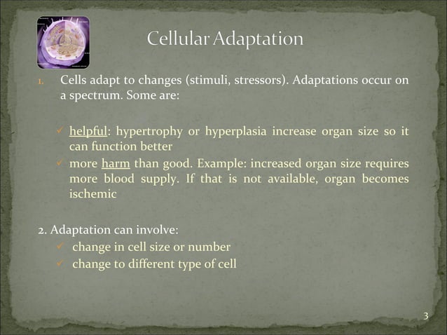 Cell Adaptation | PPT | Biological Sciences | Science