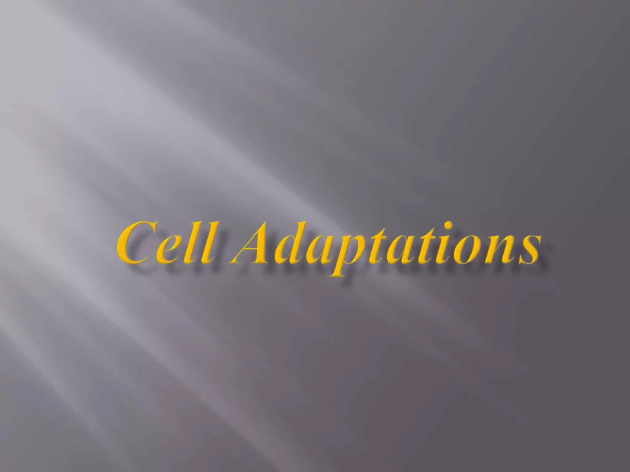 Cell adaptations | PPTX
