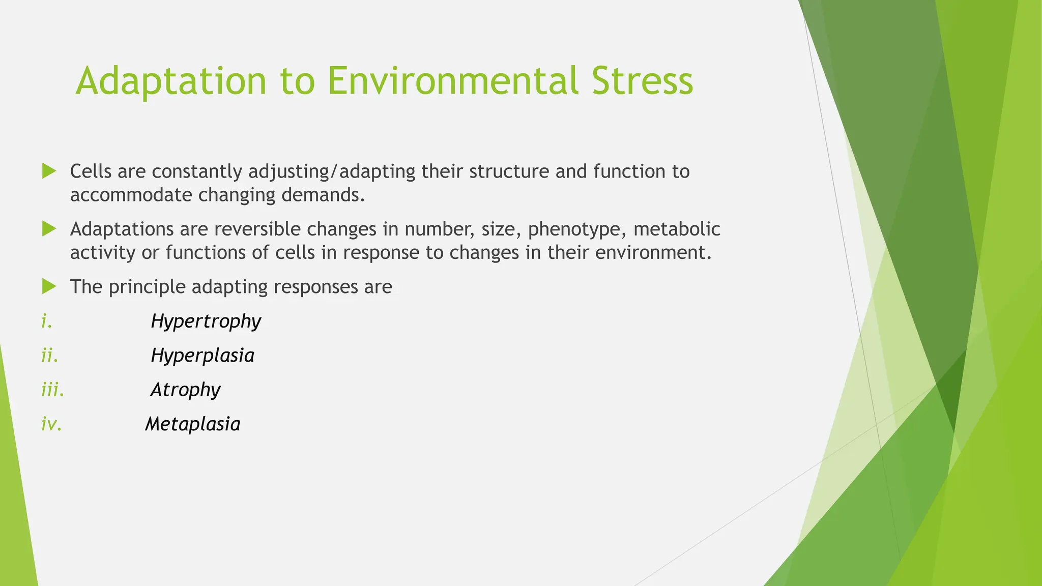 Cell Adaptations.pptxCell Adaptations.pptx