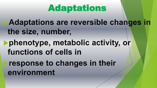Cell adaptations dec 2019 lect 2 | PPT