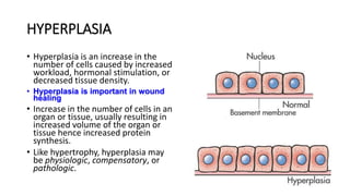 CELL ADAPTATON_091737.pptx
