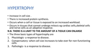 CELL ADAPTATON_091737.pptx