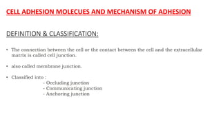 cell_adhesion.pptx