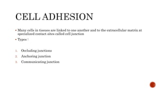 Cell adhesion and transport | PPTX