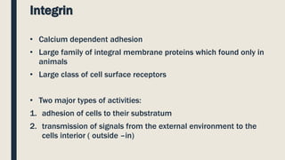 Cell adhesion molecules | PPTX