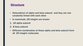 Cell adhesion molecules | PPTX