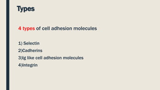 Cell adhesion molecules | PPTX