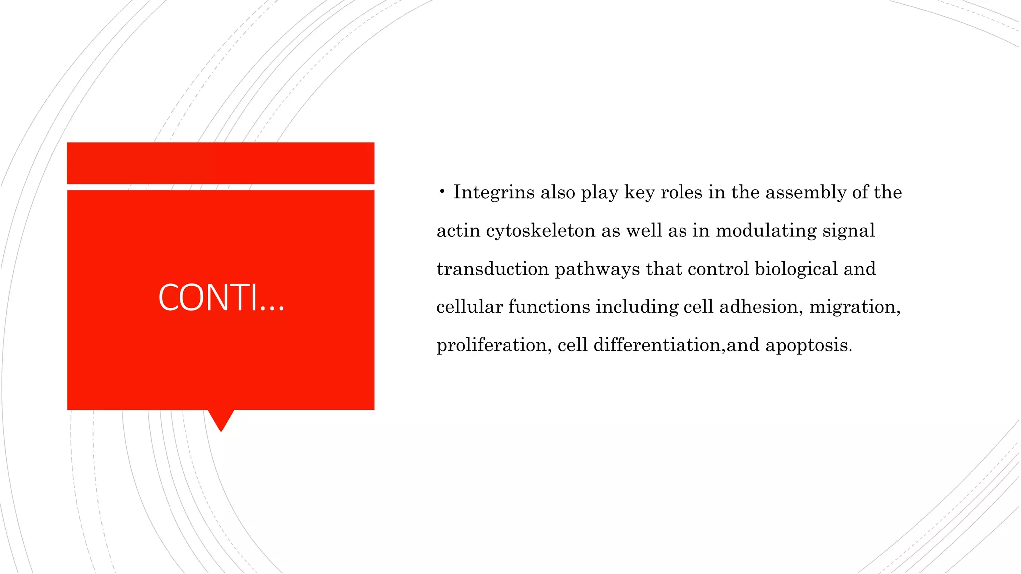 Cell adhesion molecules | PPTX