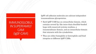 Cell adhesion molecules | PPTX