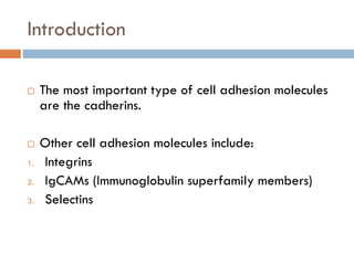 Cell Adhesion Molecules | PDF