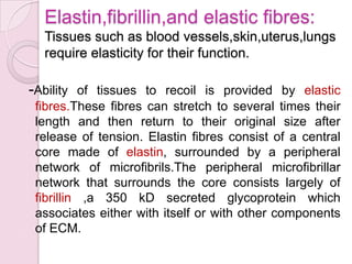 Cell adhesion molecules and matrix proteins | PPTX
