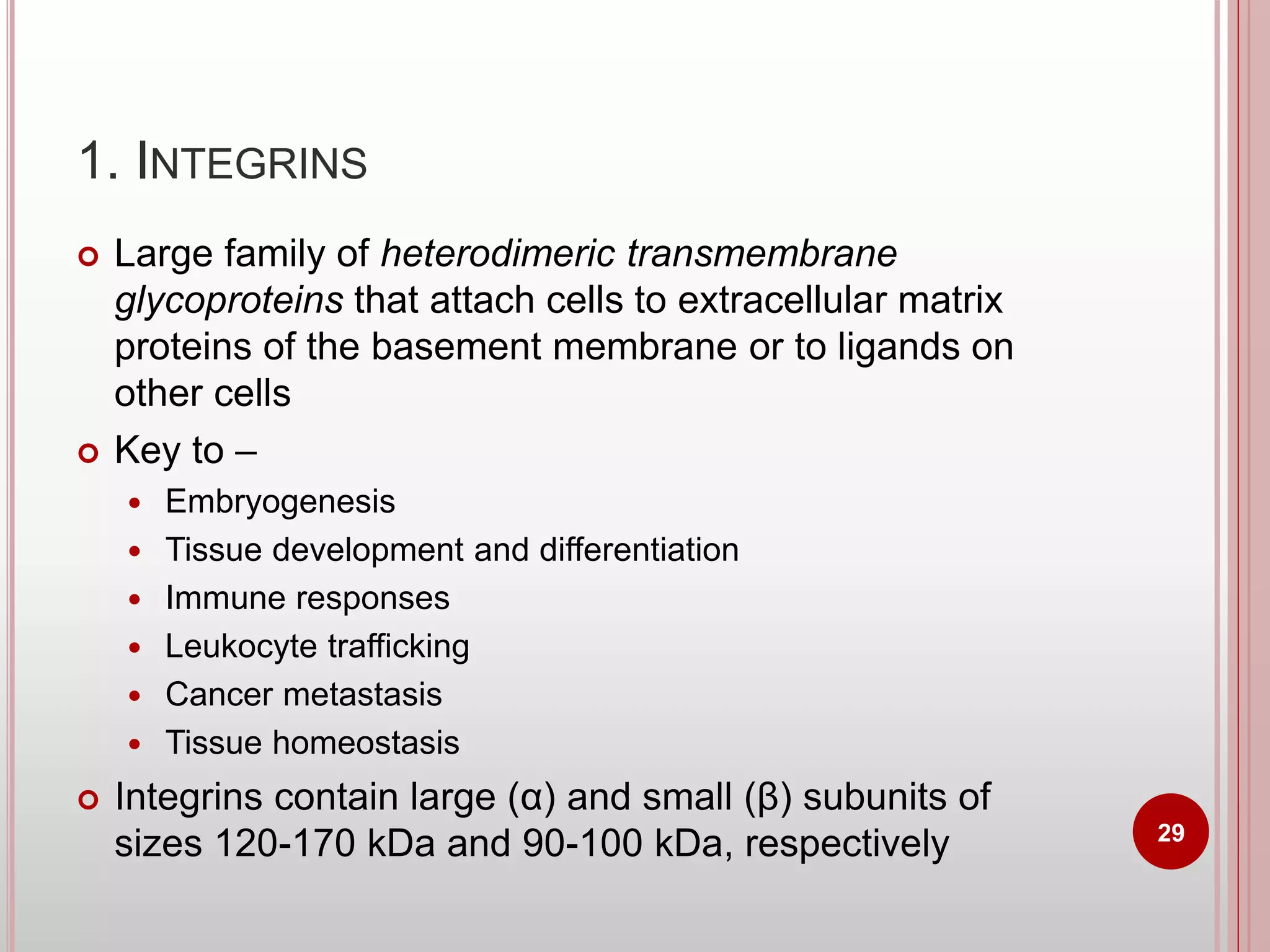 Cell adhesion molecules and mechanisms of cell adhesion | PPTX