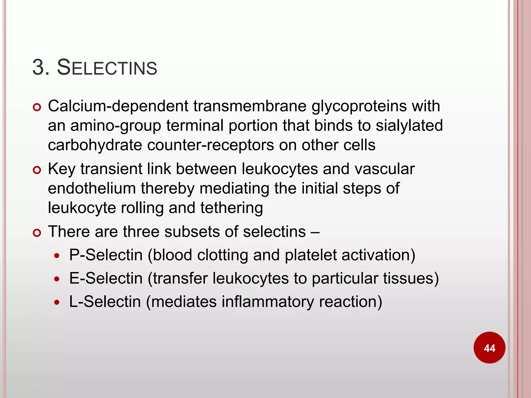 Cell adhesion molecules and mechanisms of cell adhesion | PPTX