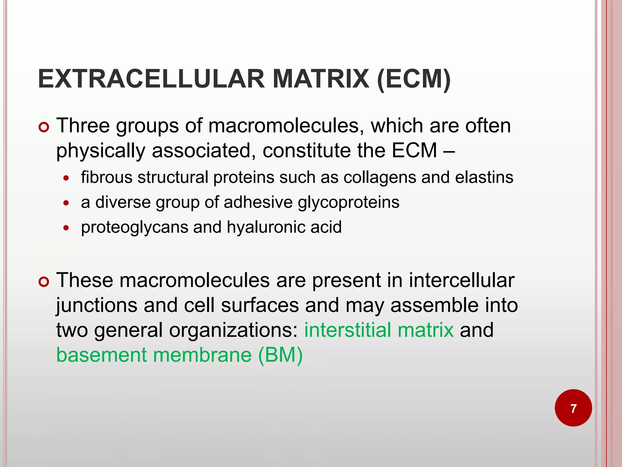 Cell adhesion molecules and mechanisms of cell adhesion | PPTX