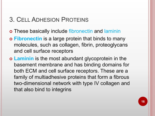 Cell adhesion molecules and mechanisms of cell adhesion | PPTX ...