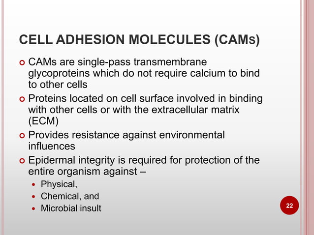 Cell adhesion molecules and mechanisms of cell adhesion | PPTX ...