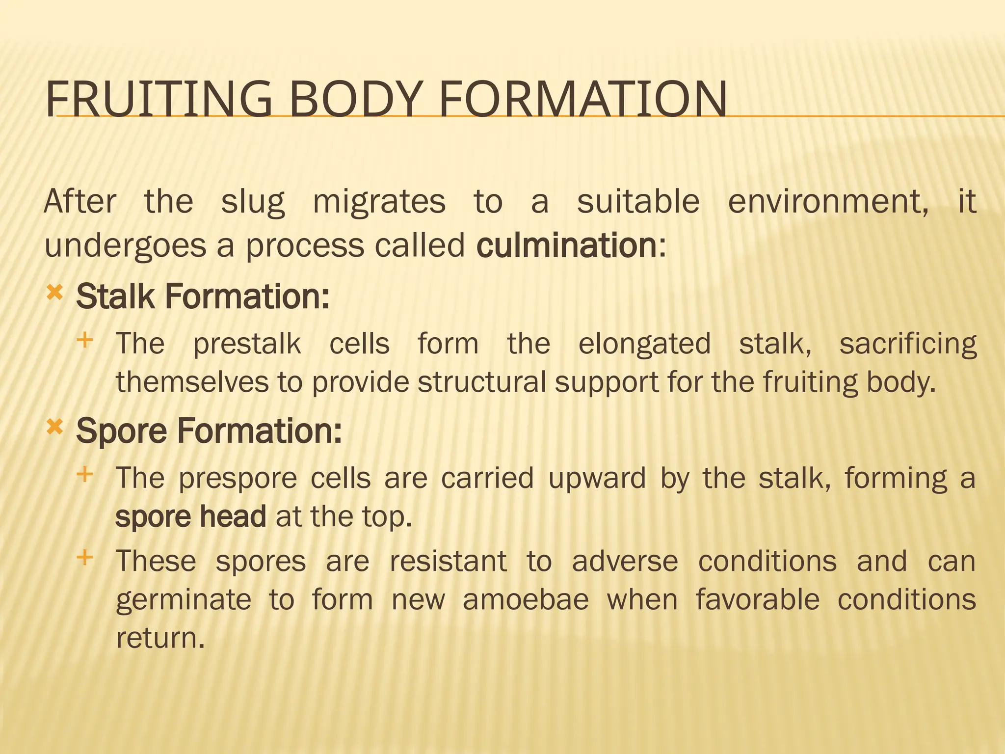 Cell aggregation and Differentiation in Dictyostelium.pptx