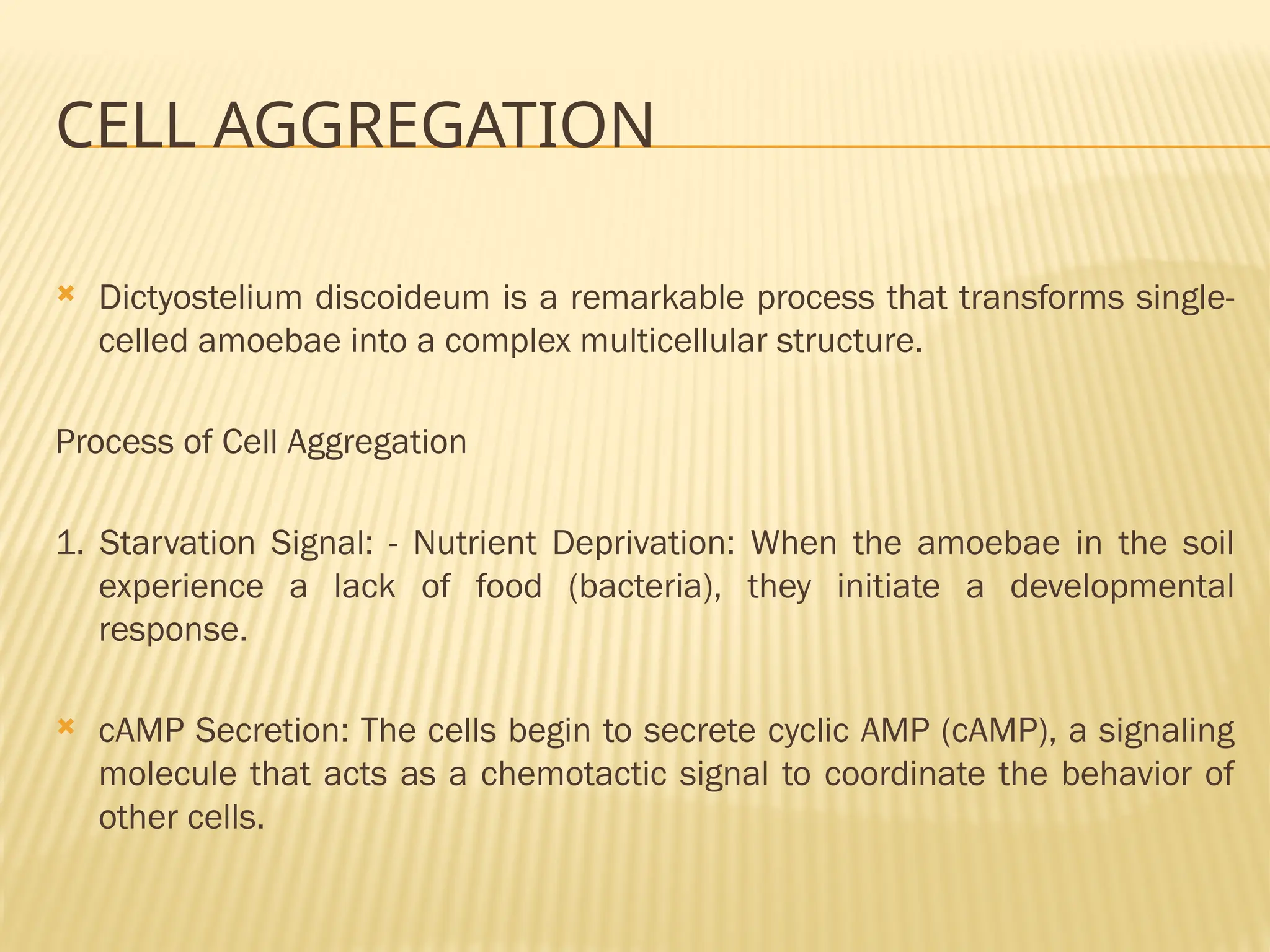 Cell aggregation and Differentiation in Dictyostelium.pptx