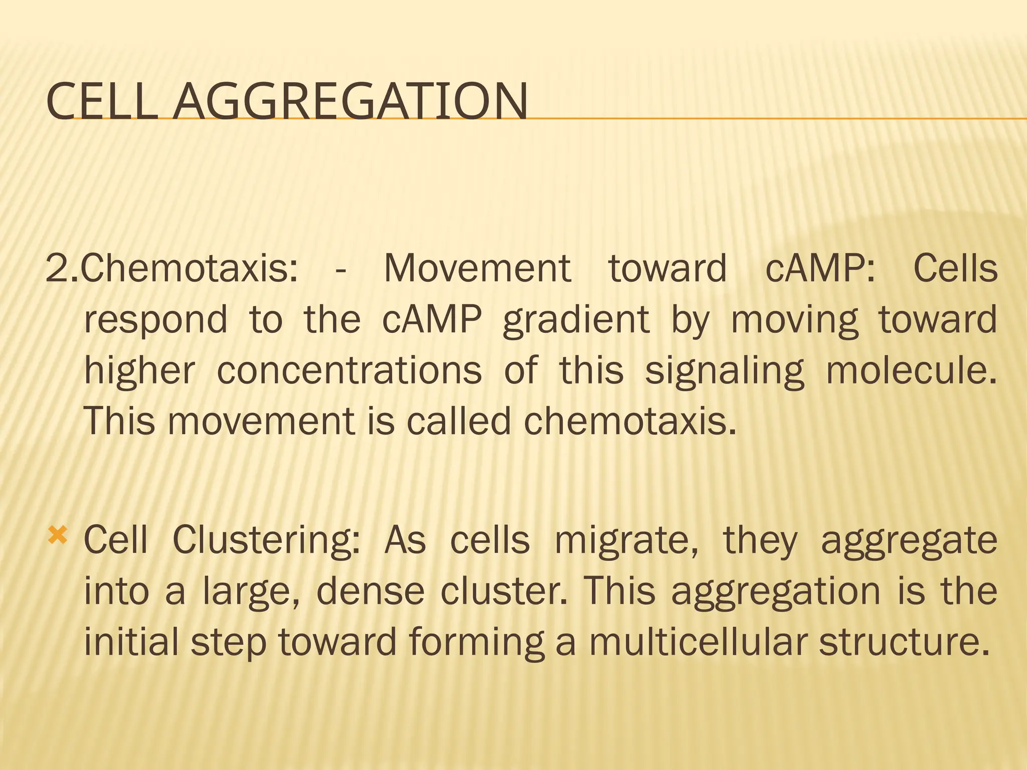 Cell aggregation and Differentiation in Dictyostelium.pptx