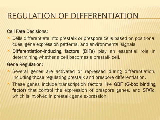 Cell aggregation and Differentiation in Dictyostelium.pptx | Biological Sciences | Science