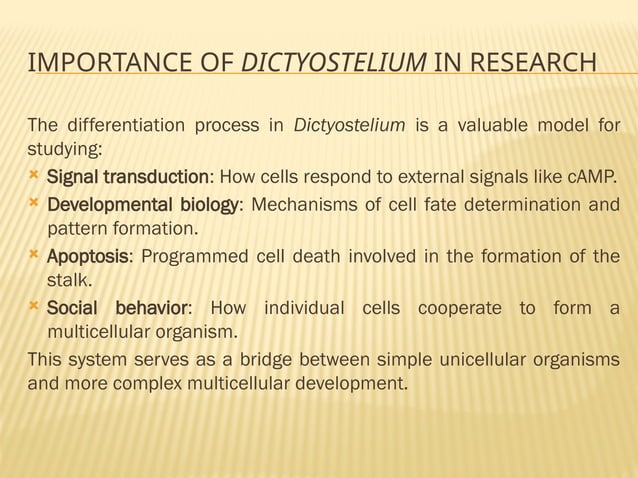 Cell aggregation and Differentiation in Dictyostelium.pptx | Biological ...