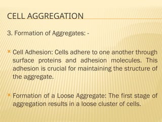 Cell aggregation and Differentiation in Dictyostelium.pptx